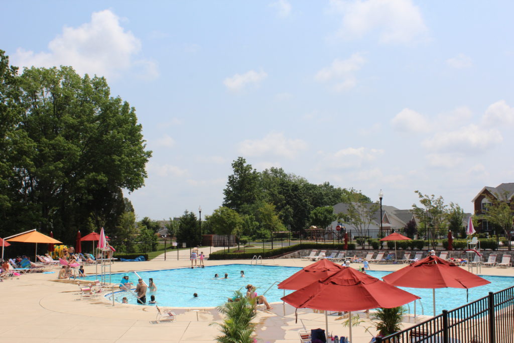 Swimming Pools | South Riding